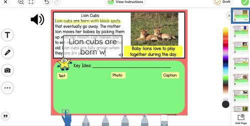 RI.1.7 1st Grade Key Ideas Text/Illustrations Seesaw and Printable ...