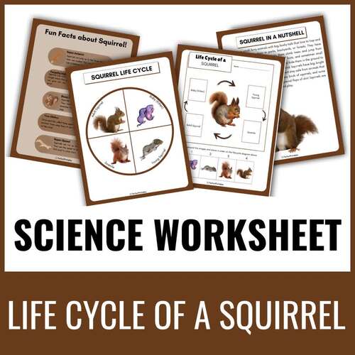 Life Cycle of a Squirrel Worksheet- Animal Science Unit Study With Fun ...