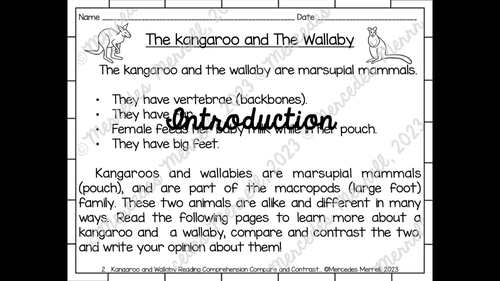 Kangaroo and Wallaby Reading Comprehension Compare and Contrast... Opinion
