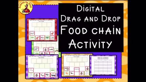 FOREST FOOD CHAIN DIGITAL ACTIVITY Drag and Drop DISTANCE LEARNING