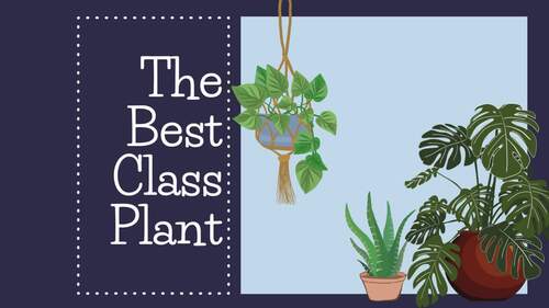 Best Classroom Plant Project by Joy and Sunshine Collective | TPT