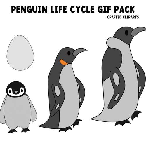 Simple Penguin Life Cycle GIF Pack by Crafted Cliparts | TPT