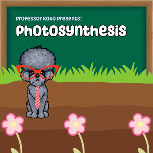 Photosynthesis: How Plants Make Food With Professor Koko by Hunny & Koko