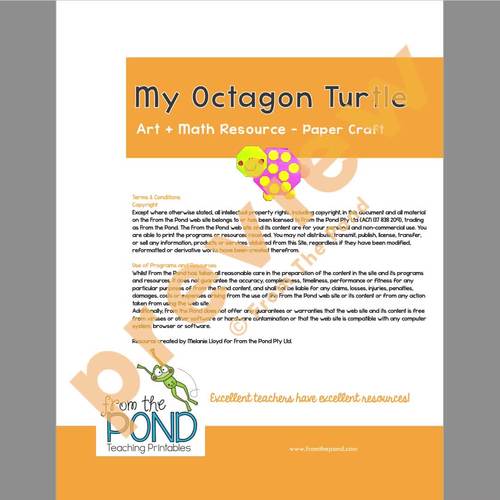 Octagon Turtle 2D Shape Craft by From the Pond | TPT