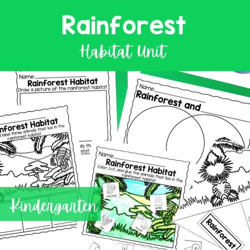 Rainforests, Animal Habitats Kindergarten & First Grade, Habitat ...