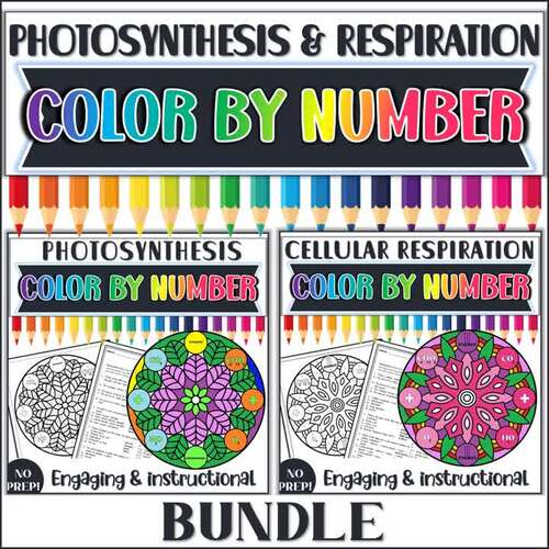 Photosynthesis and Cellular Respiration Color by Number Bundle|Review ...