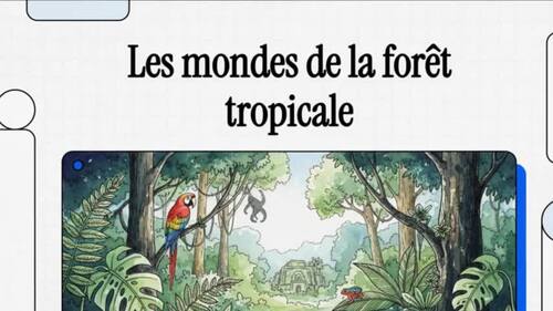 Couches de la forêt tropicale – PowerPoint, Vidéo, Affiches, Fiches d ...