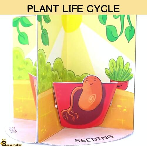 Plant Lifecycle printable pdf 3d craft, Toddler, Preschool, Home school