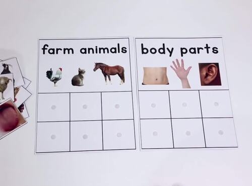 Sorting Activities Special Ed Task Boxes Preschool BLACK FRIDAY DEALS SALE