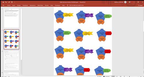 DNA MOLECULAR STRUCTURE - MODEL ACTIVITY (Digital/Printable) by Science ...
