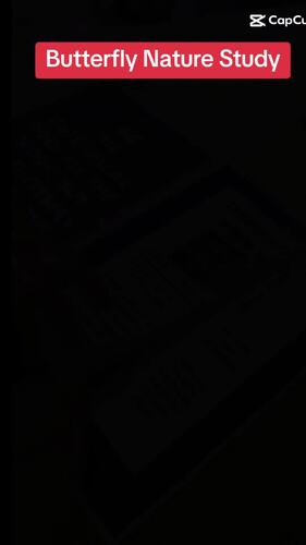 Caterpillar and Butterfly Nature Study by Where the Wild Ones Learn