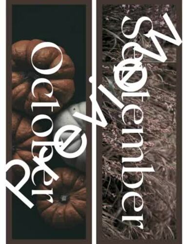 Realistic Boho Calendar and Birthday Decor : Classic - Photos - Neutral ...