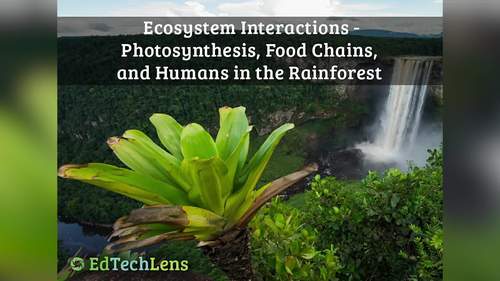 Ecosystem Interactions,Photosynthesis,Humans,&Rainforests-Distance ...