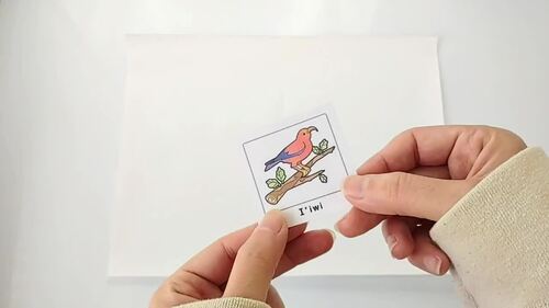 Hawaii Craft Animal Research Hawaiian Birds Activity for Elementary Grades