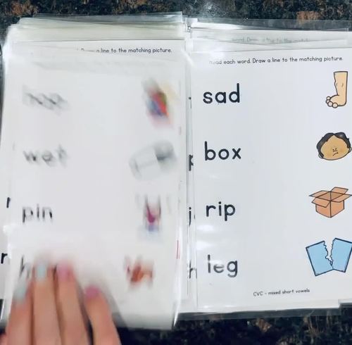 Read and Match Decodable Words: Short Vowels, Blends, Digraphs, Glued ...
