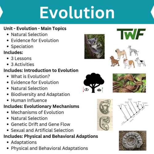Evolution Unit | Natural Selection, Evidence for Evolution, Speciation