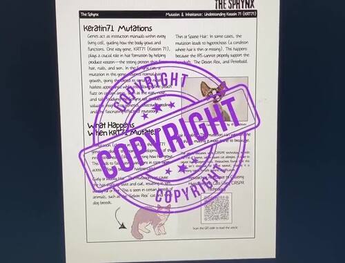 Sphynx Cat Genetics, Keratin71 gene, FOX13 mutation, inheritance ...