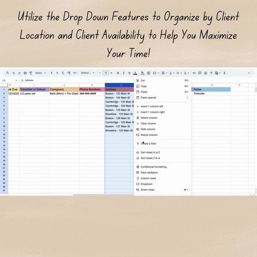 Editable Caseload Organizer/Manager Google Sheet Template Early ...