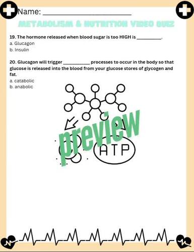 Metabolism and Nutrition Video Quiz | Health | FACS by Secondary Science HQ