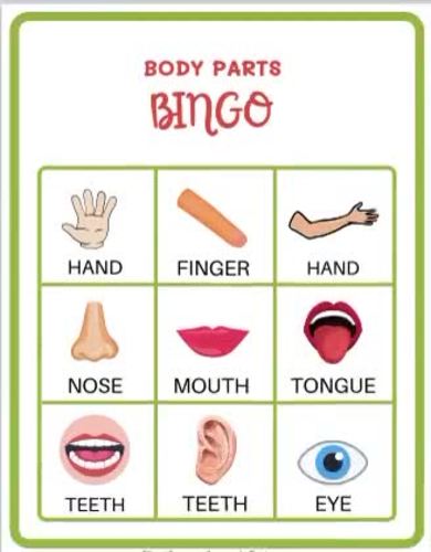 Body Parts BINGO by ESL and Portuguese resources by Teacher Lucas