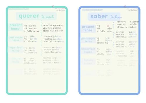 SPANISH Grammar BASICS bundle A5 flashcards | Spanish Top 10 common VERBS
