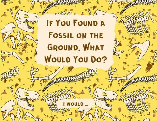 Fossil Dinosaur Excavation Archeologist Center with Dino-Letters