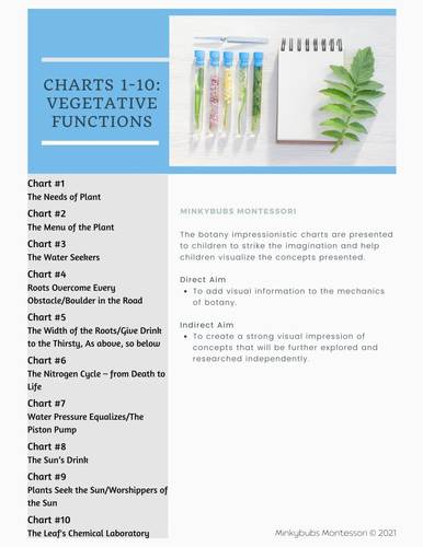 Botany Charts Impressionistic Montessori by Minkybubs Montessori