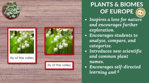 Plants and Biomes of Europe Map 3 Part Cards Sort Facts Montessori