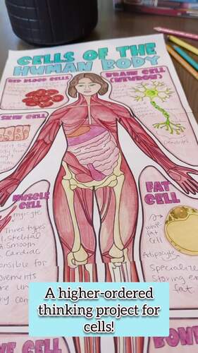 Cells of the Human Body Poster Project by Spunky Science | TPT
