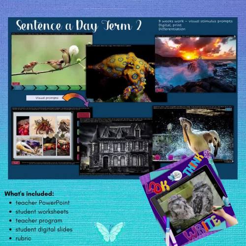 Sentence Writing Grade 6 Weeks 11 to 20 by On Butterfly Wings | TPT