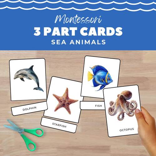 Sea Animals Montessori 3-Part Cards, Ocean Marine Wildlife Vocabulary ...