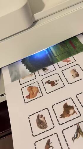 Animals Habitat Sorting Geography Environment Educational UK Montessori ...