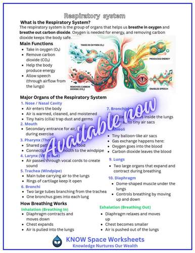 High School Respiratory System Activities – Organs, Air Pathway & Breathing