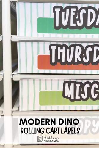 Modern Dinosaur Classroom Theme | Rolling Cart Labels - Editable!
