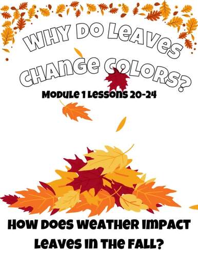 Why do leaves change colors Workbook aligned w/ Wit and Wisdom MD 1 ...