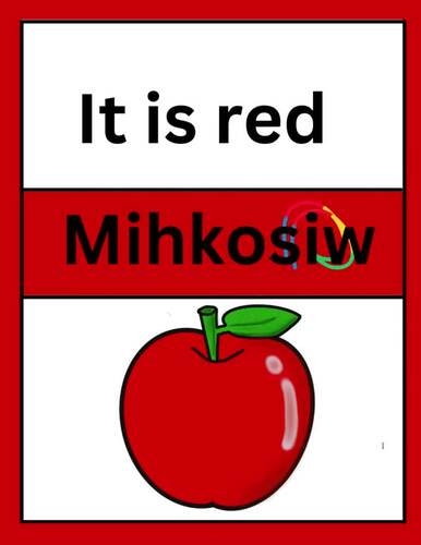 Plains Cree Colors Posters by Two-Spirit Teaching Resources | TPT