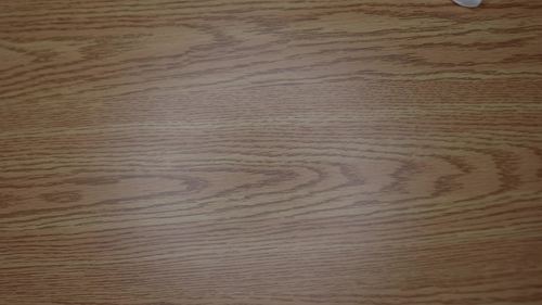 Turk and Runt Disguise a Turkey Thanksgiving READ ALOUD STEM™ Activity