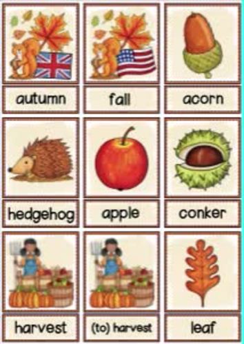 AUTUMN - Picture + Word Cards (ESL/EFL) by My Teaching Factory | TpT