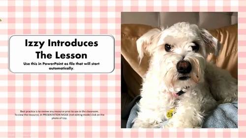 Ready to Use No Prep STRESS ANXIETY WORRY SEL Lesson w 6 videos & activity