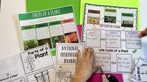 Planting Science Unit - Explore Plant Life Cycles and More by Jessica ...