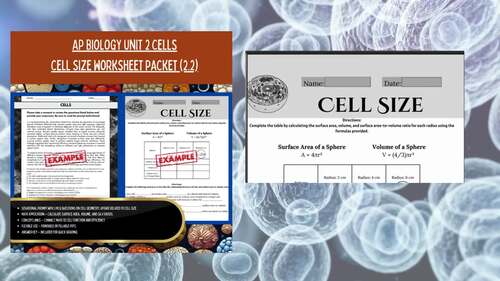 AP Biology UNIT 2 Cells 2.2 Cell Size Prompt and Guided Worksheet SET
