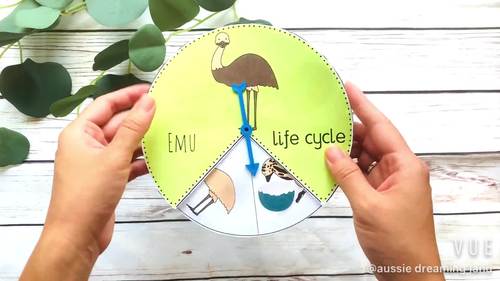 Australian Animals | Emu life cycle facts | Emu life cycle activity pack