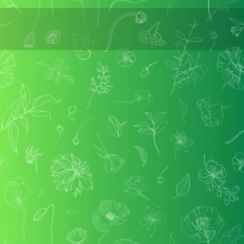 Spring Flower Math Worksheets: Count & Color Numbers 1-10 for ...