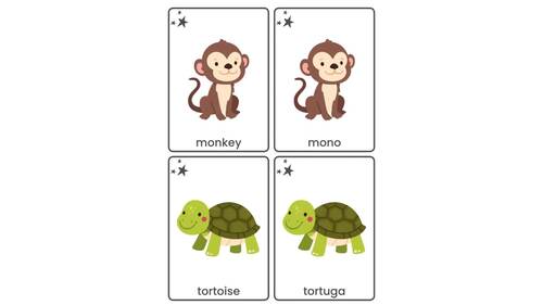 English - Spanish Flashcards – Animals Vocabulary | 100 Printable Cards