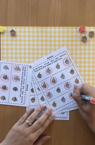 Acorn Visual Discrimination Activity: Acorns Alike! Same or Different ...