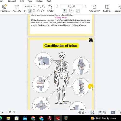 Anatomy & Physiology Bundle with Flashcards and Stickers | Anatomy ...