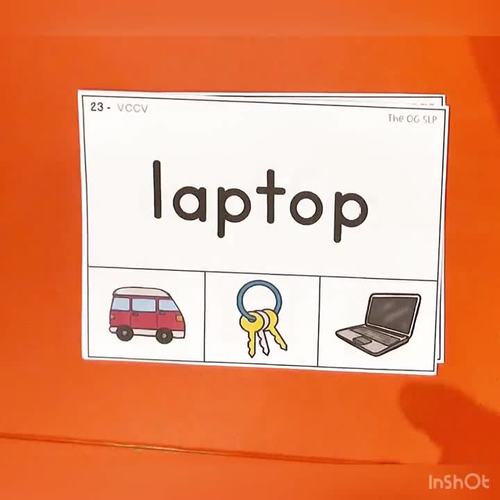 VCCV Words Read and Match Phonics Task Cards, Orton Gillingham Activities