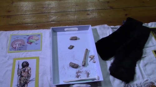 Montessori third great lesson by Montessori Tube | TPT