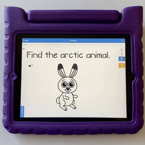 Arctic Animals Digital Task Activity Boom Cards | TpT