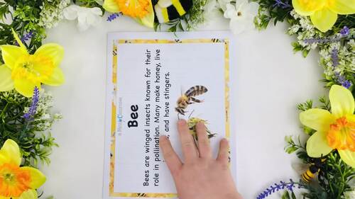 Bee Pollinator Leveled Reading Unit Bundle RI2.1 RI.2.2 & RI.2.5 ...